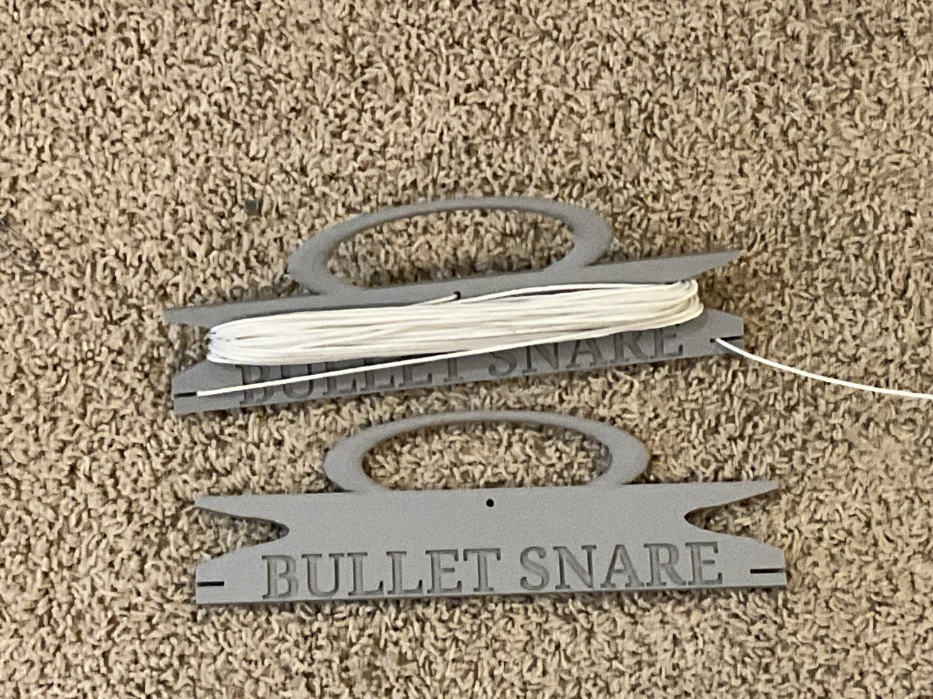 Ultimate Guide to Crab Snaring - BulletSnare