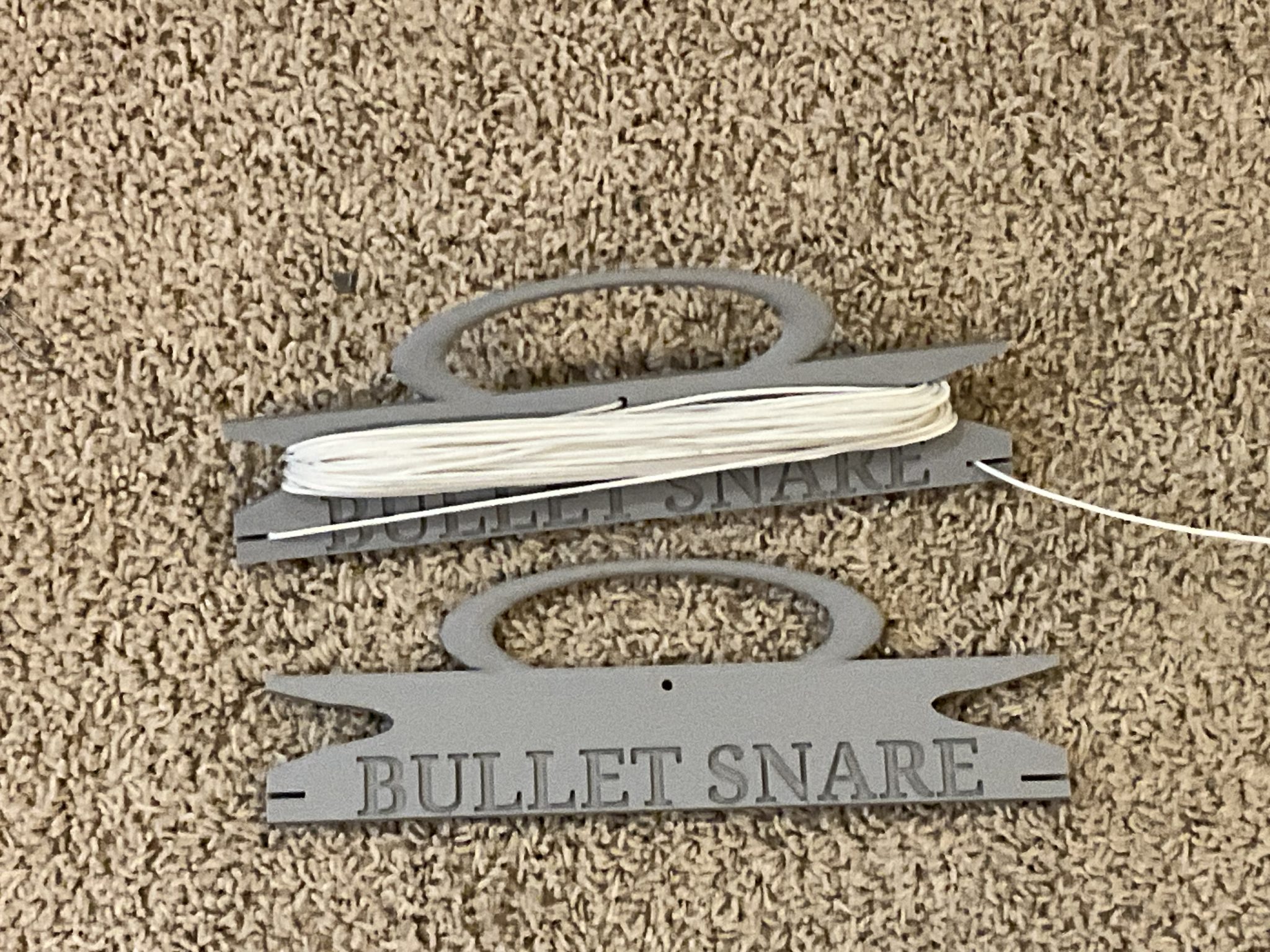 Ultimate Guide to Crab Snaring - BulletSnare